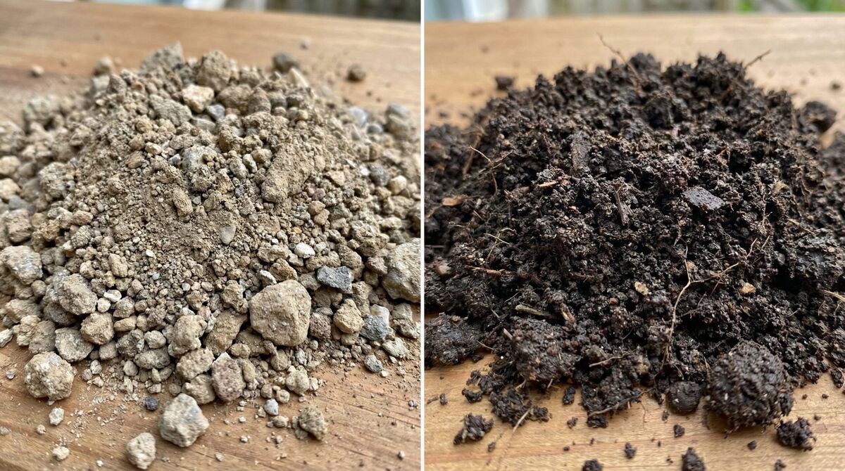 Fill Dirt vs Loam Key Differences, Uses and Best Choice for Your ...